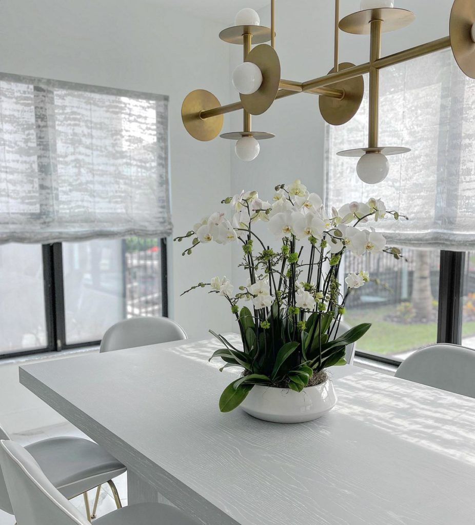 What Is Linear Light and Why Should I Use It?